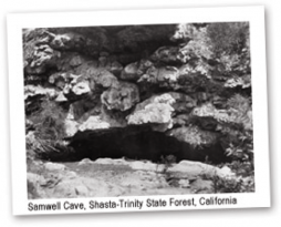 Exploring Shasta Lake – Silverthorn Resort and Pizza Pub Shasta Lake